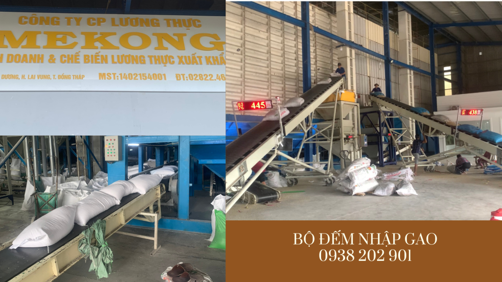 Bộ đếm bao gạo - hệ thống kiểm đếm tại KHO MEKONG - Đồng Tháp - Máy Đếm Thiên Long